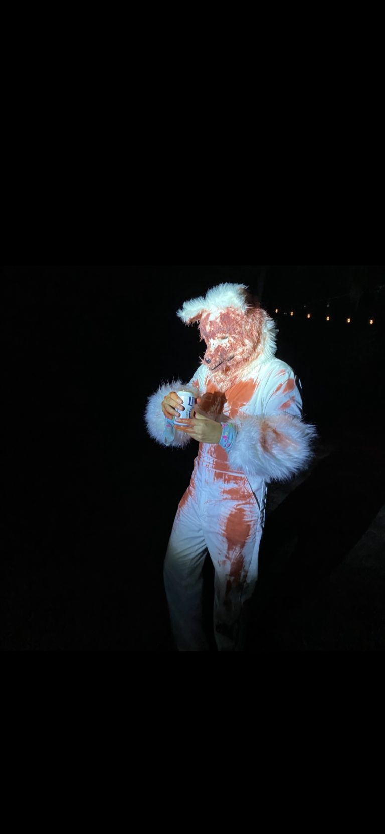 Doom Flamingo and Lureto’s Ross Bogan Bares Teeth on New Project Wolf Mask