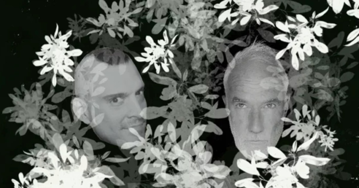 Snakes and Stars: Michael Travis and Aaron Johnson Create Spontaneous ...