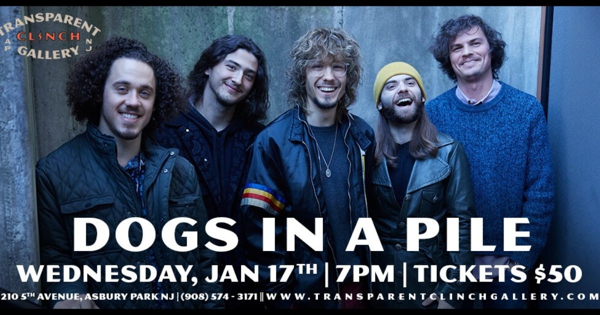 Dogs in a Pile to Participate in Charitable Evening at Transparent ...