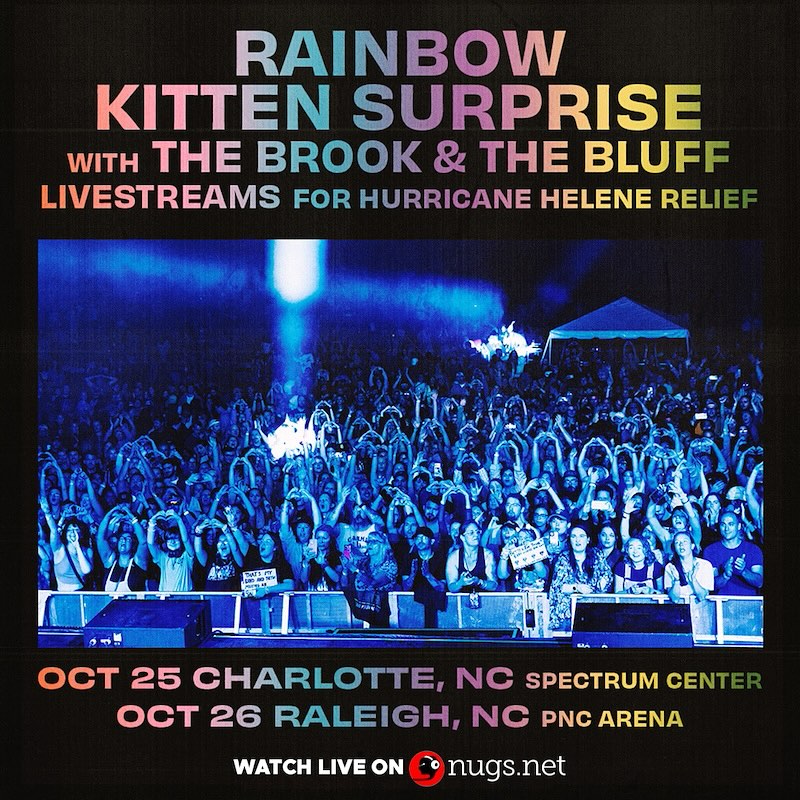 Rainbow Kitten Surprise Partner with PLUS1 to Pledge $50,000 for ...
